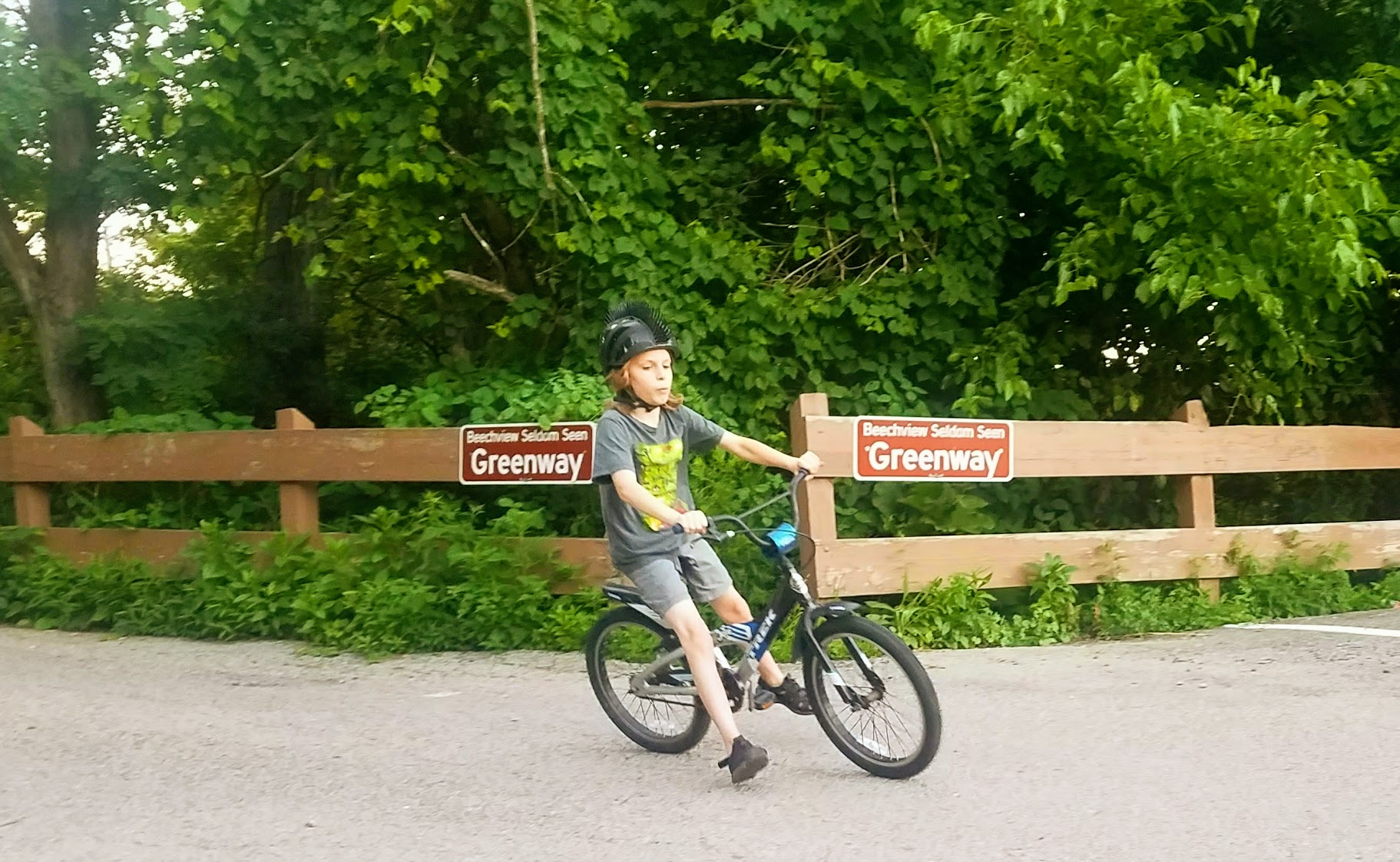 Explore Seldom Seen Greenway – The Forest in Beechview’s Backyard ...