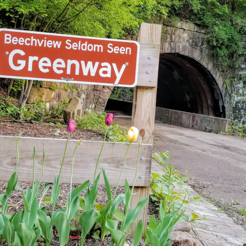 About | Pretty Up Beechview